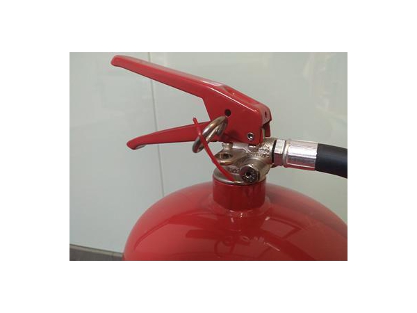 Portable Foam Fire Extinguisher | Fire Extinguishers | ETW International