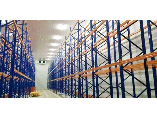 Cold Storage Racking System | Hao Shuang | ETW International