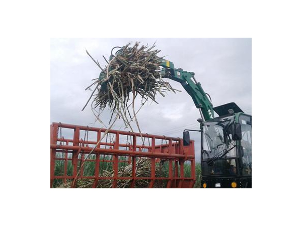 Heavy Duty Sugar Cane Grab Loader | Vehicles Supplier | Hongyuan | ETW ...