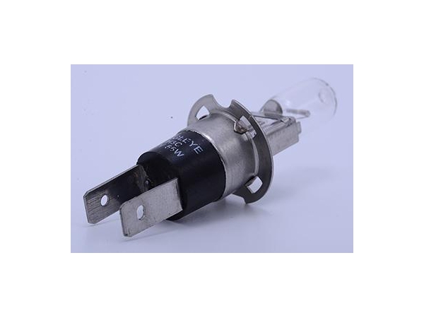 H3C Special Halogen Headlight | FSL Autotech | ETW International