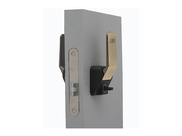 MG3813 Series Push Pull Mortise Lock | Lock Manufacturer | ETW ...