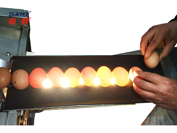 Egg Cleaning Machine | Egg Washing Equipment | ETW International