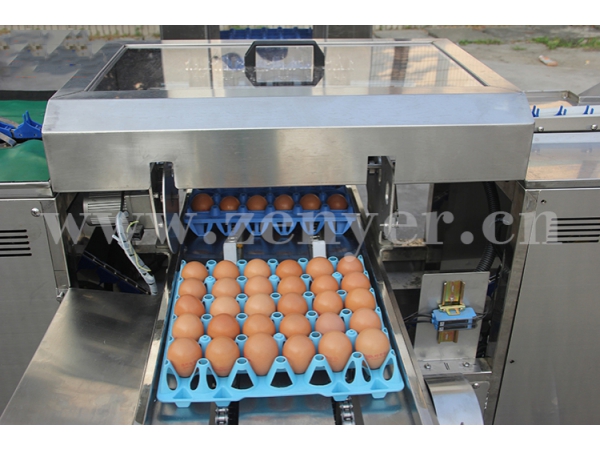 Egg Packing Machine | Farm Packer - 710