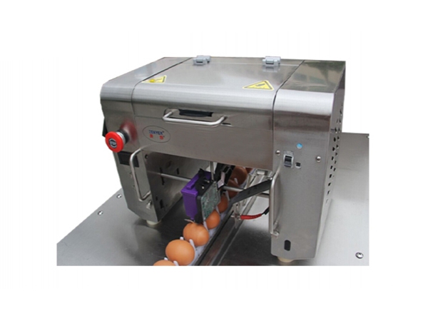 Complete Egg Processing Line | Food Industry Equipment - 300A | ETW International