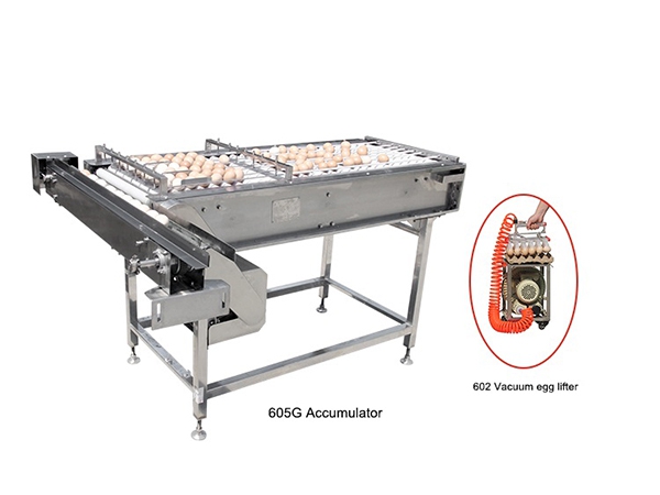 Complete Egg Processing Line | Food Processing Equipment - 301A | ETW ...