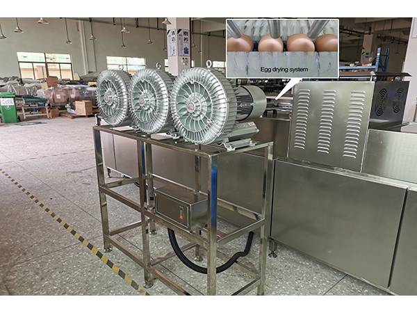 Complete Egg Processing Line | Food Processing Equipment - 301A | ETW ...