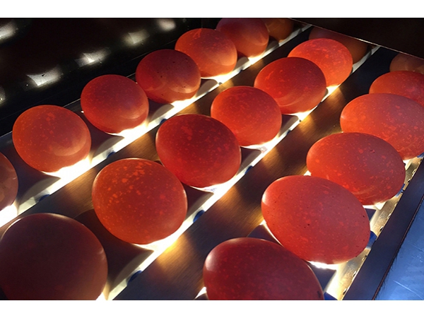 Complete Egg Processing Line | Food Processing Equipment - 301A | ETW ...