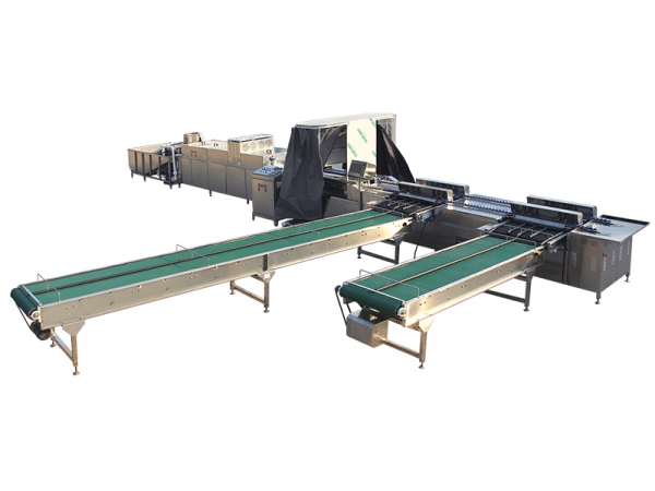 Complete Egg Processing Line | Egg Processing Plant - 303B | ETW International
