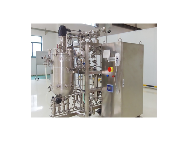 Cell Culture Bioreactor | Custom Stainless Steel Vessel | NJR